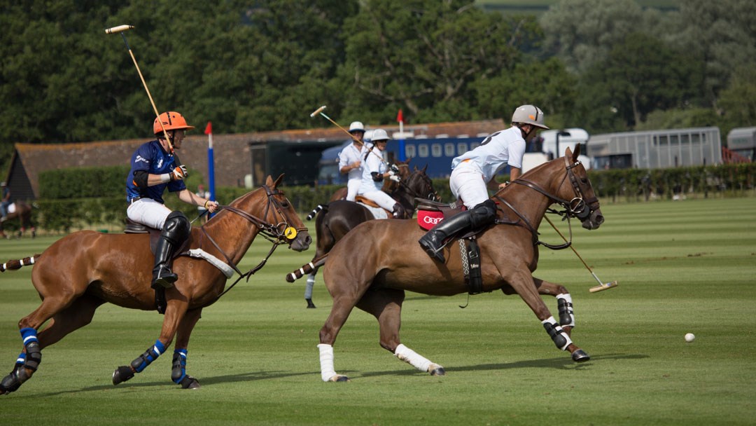 The Halcyon Gallery Royal Polo Day 2015